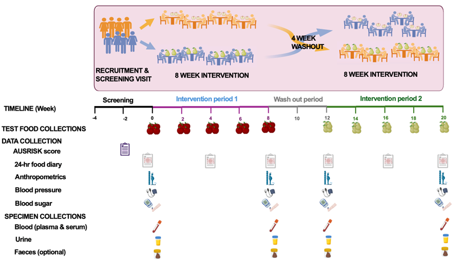 The Apple Study – Bravo® apples